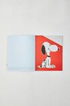 The Peanuts Poster Collection By Chip Kidd | Urban Outfitters