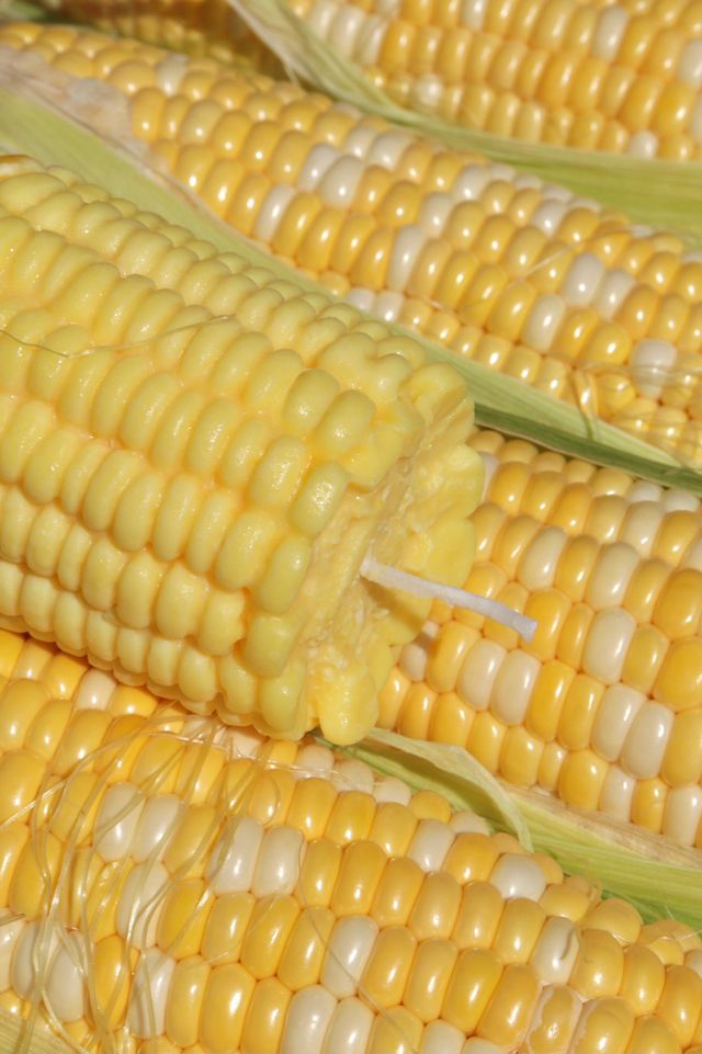 MMANN Candles Corn Shaped Candle | Urban Outfitters