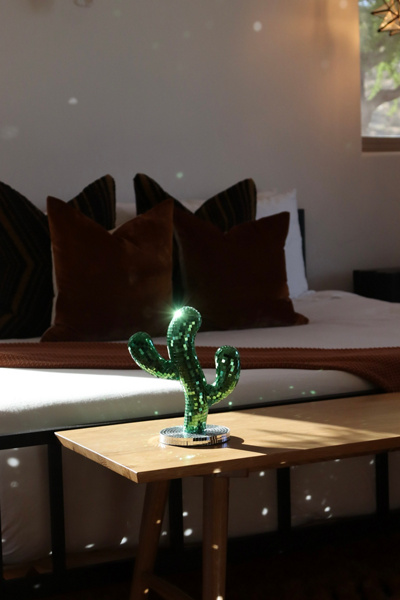 Sofiest Designs Disco Cactus | Urban Outfitters