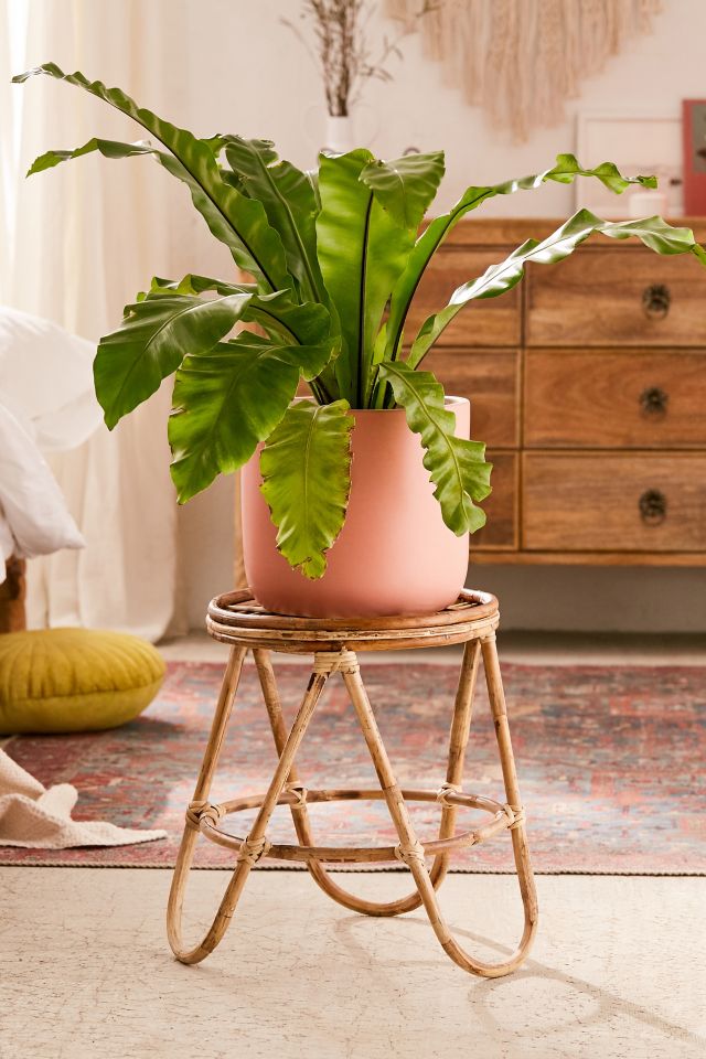 Urban outfitters rattan stool store
