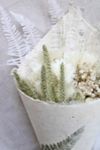 Roxanne’s Dried Flowers Foraged Fern Bouquet | Urban Outfitters