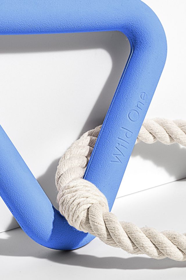 Wild One Triangle Tug Dog Toy | Urban Outfitters