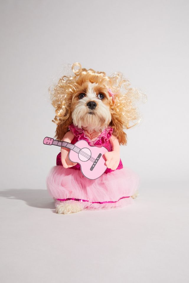 Doggy Parton Concert Pet Costume | Urban Outfitters