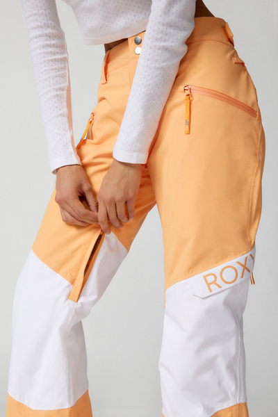 Roxy X Chloe Kim Woodrise Ski Pant | Urban Outfitters