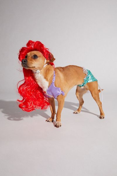 Little Mermaid Pet Halloween Costume | Urban Outfitters