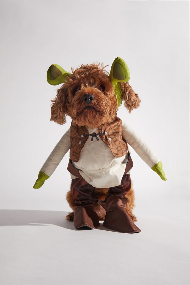 Shrek Walking Pet Halloween Costume | Urban Outfitters