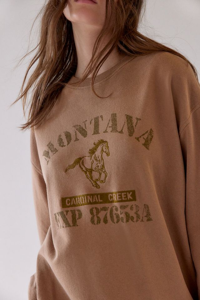 Montana Embroidered Pullover Sweatshirt | Urban Outfitters