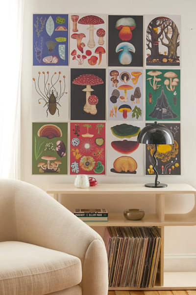 Fungarium Poster Book By Ester Gaya & Katie Scott | Urban Outfitters