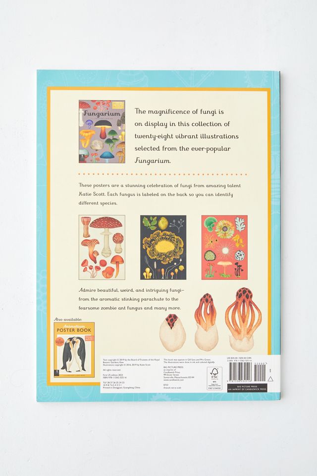 Fungarium Poster Book By Ester Gaya & Katie Scott | Urban Outfitters