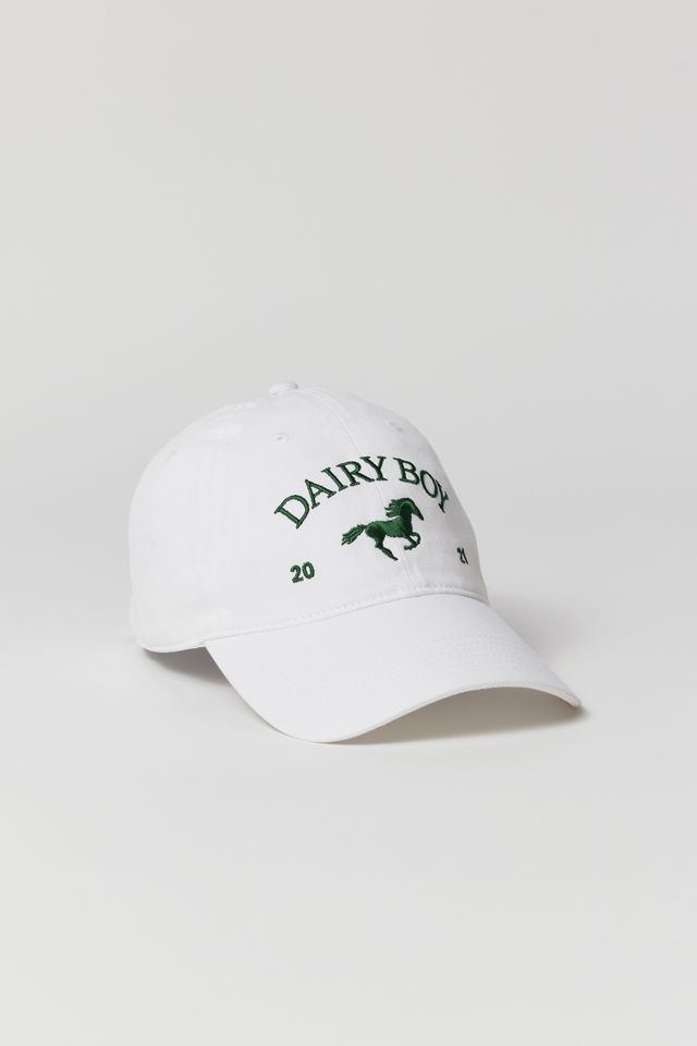 Dairy Boy East Coast Baseball Hat | Urban Outfitters