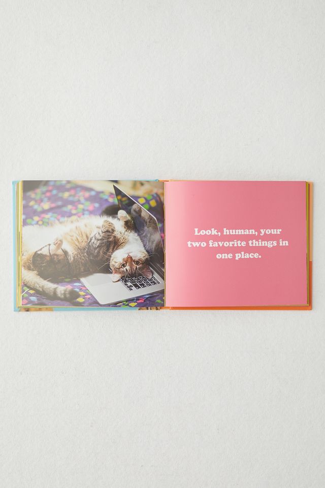 The Secret Thoughts Of Cats By CJ Rose | Urban Outfitters