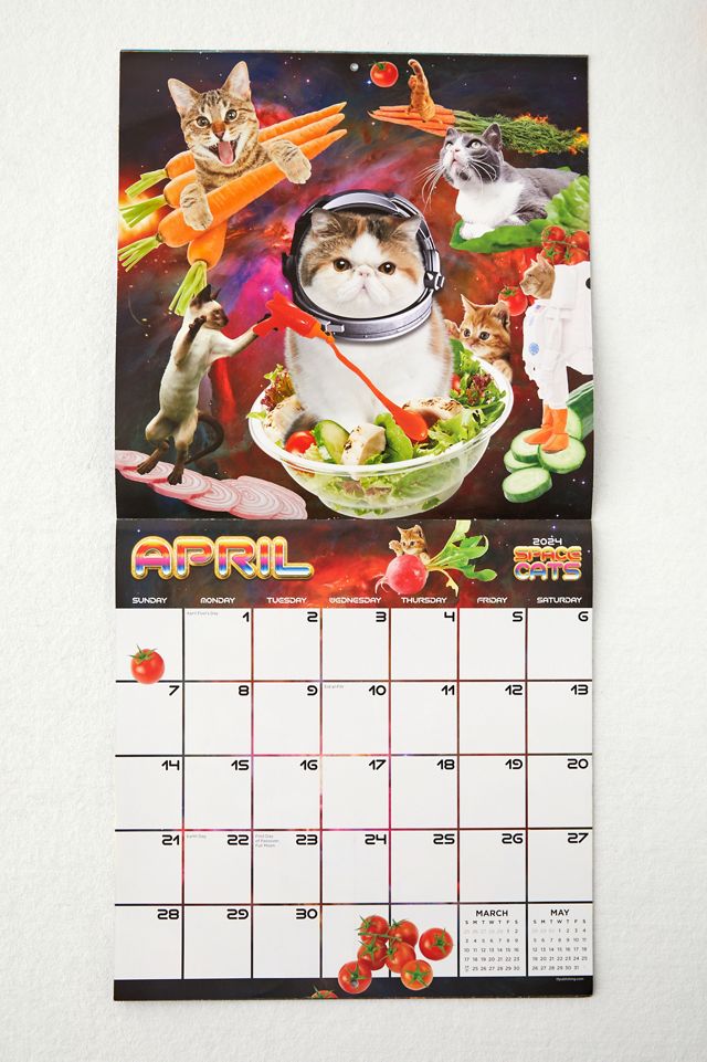 Space Cats 2024 Wall Calendar | Urban Outfitters