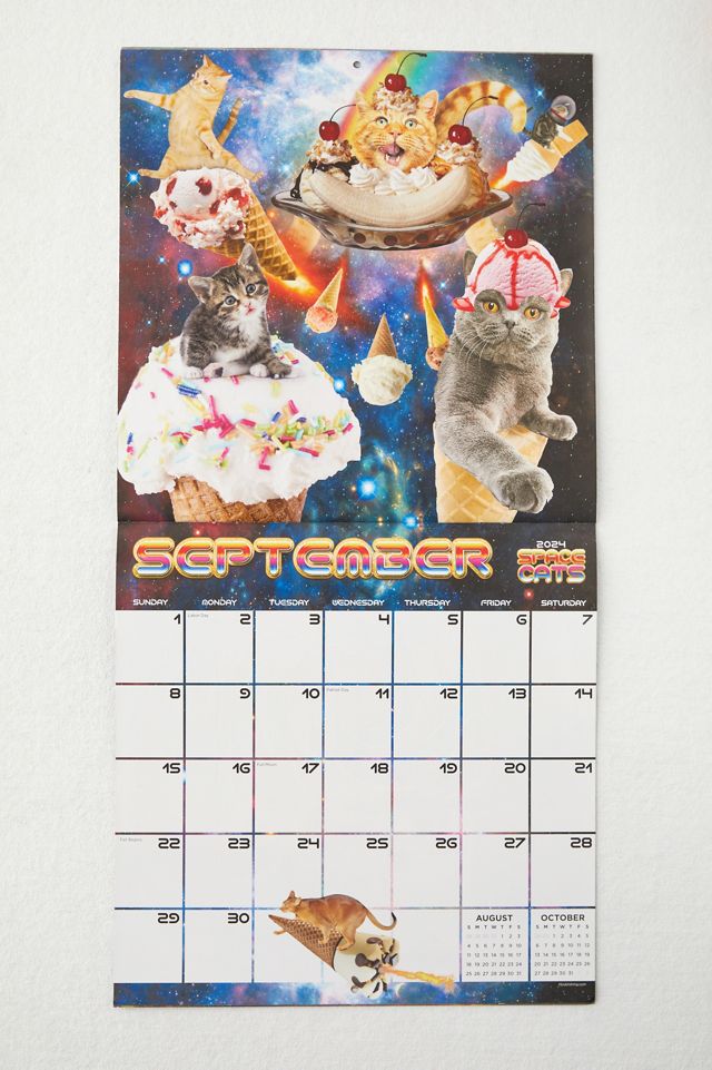 Space Cats 2024 Wall Calendar | Urban Outfitters