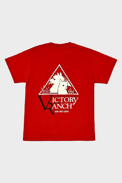 Vintage 1990’s Victory Ranch Llama Farm USA T-Shirt | Urban Outfitters