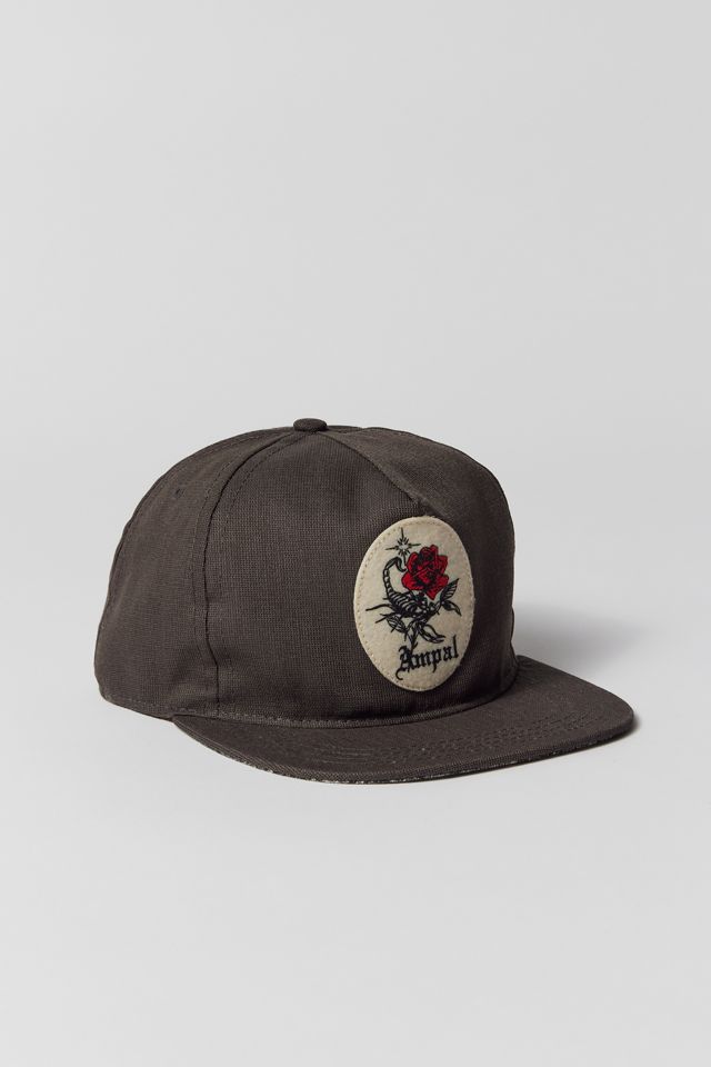 The Ampal Creative Scorpio Rising Hat | Urban Outfitters Canada