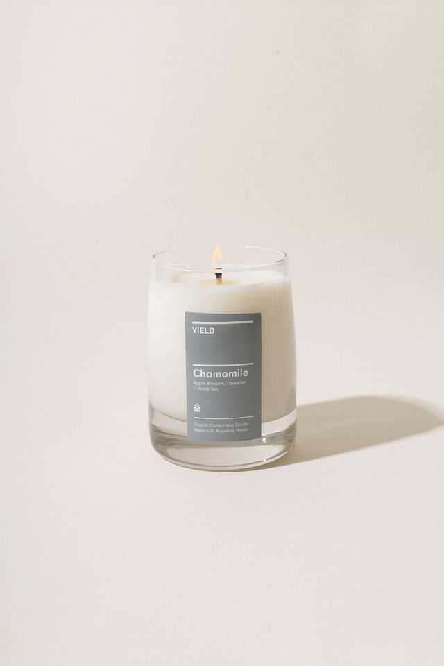 Yield 8 oz Organic Candle | Urban Outfitters