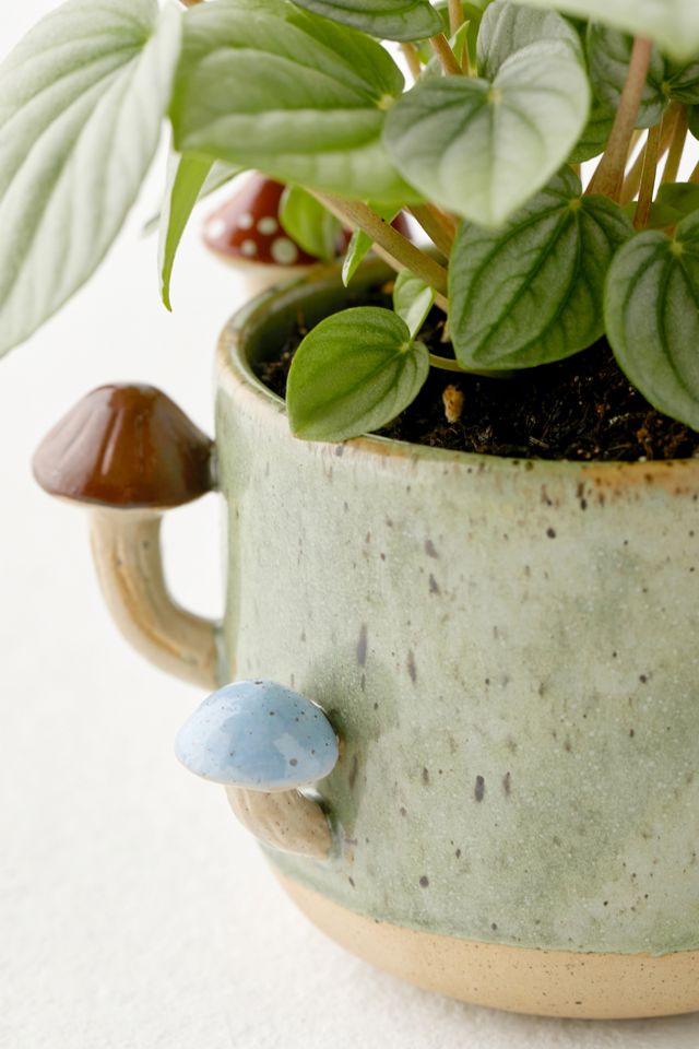 Sprouting Mushroom Planter | Urban Outfitters