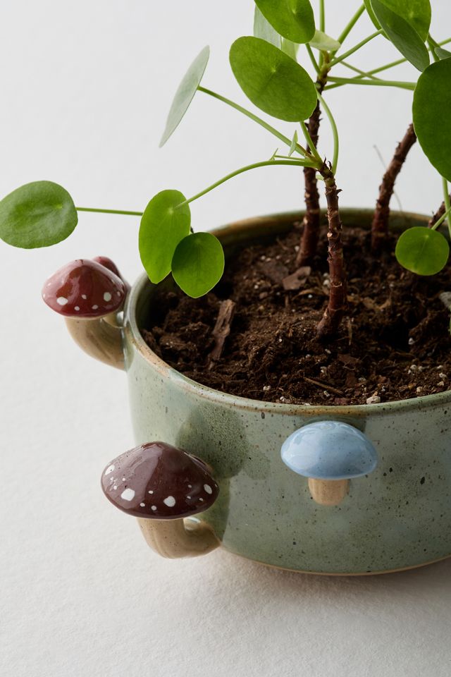 Sprouting Mushroom Ceramic Planter | Urban Outfitters