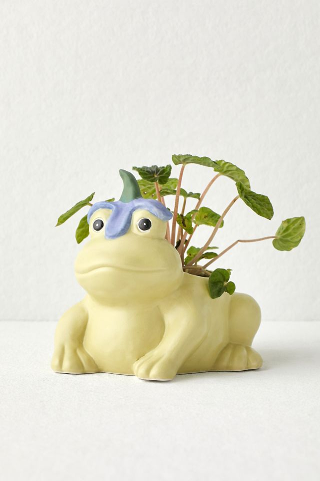 Frog Flower Hat Planter | Urban Outfitters