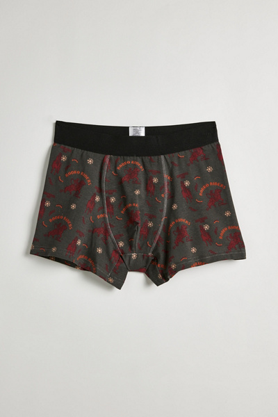 Arizona Rodeo Boxer Brief | Urban Outfitters