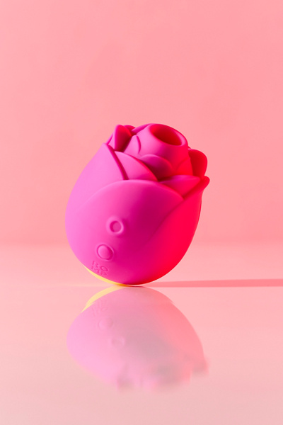 ROMP Rose | Urban Outfitters