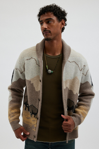 Pendleton In Their Element Cardigan | Urban Outfitters