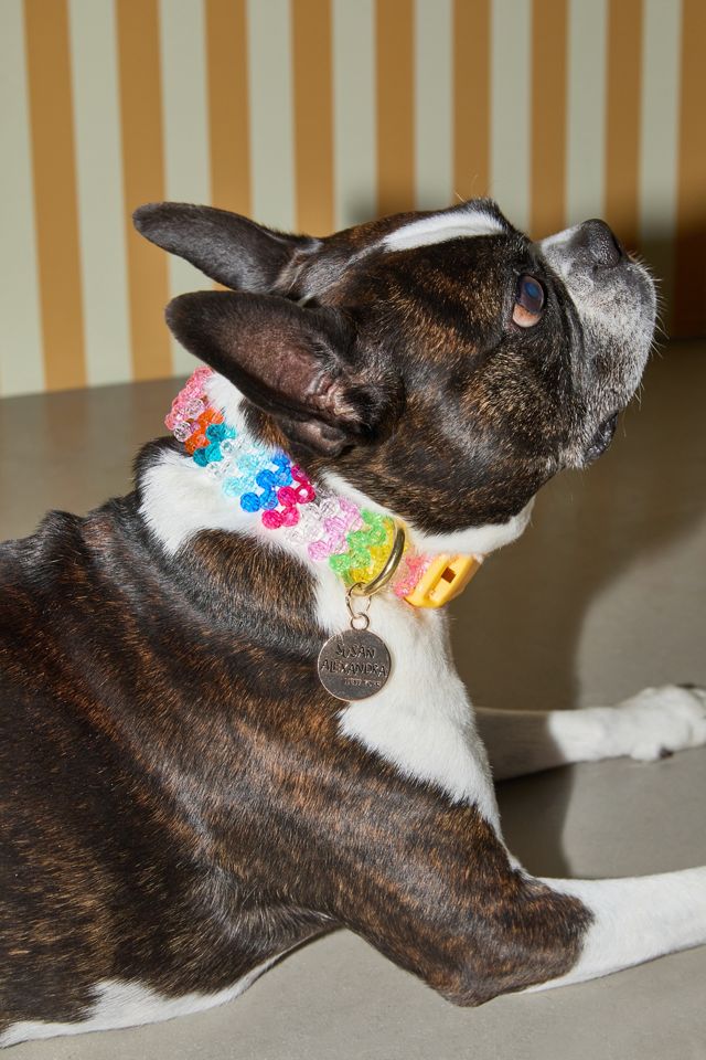 Susan Alexandra Beaded Dog Collar | Urban Outfitters