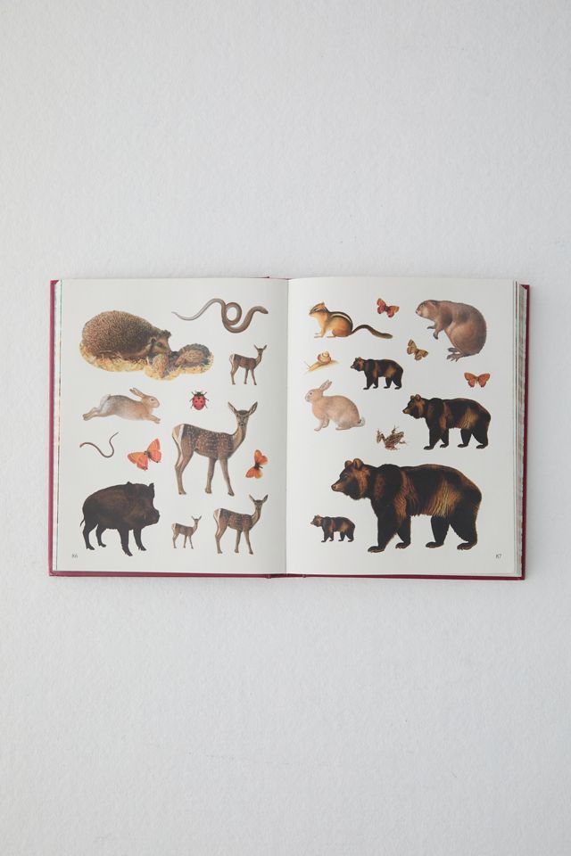 The Forests, Fairies And Fungi Sticker Anthology: With More Than 1,000 ...