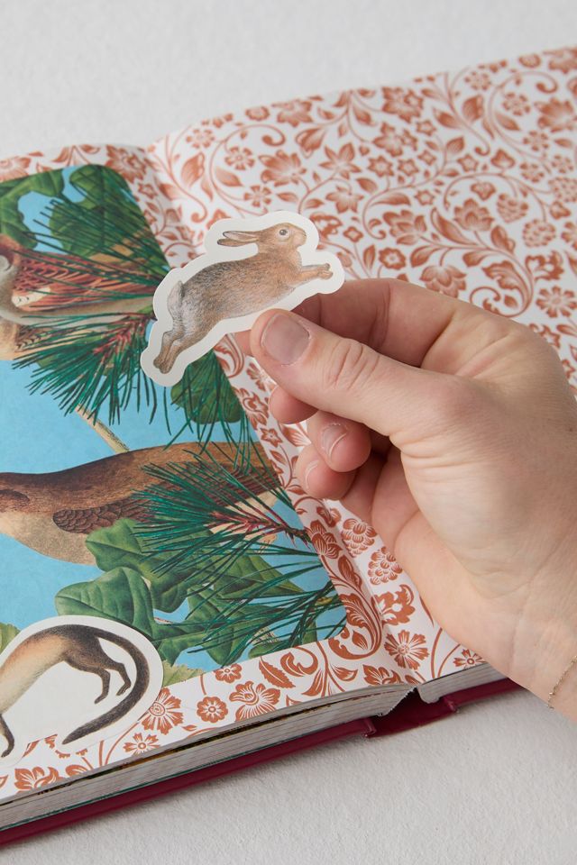 The Forests, Fairies And Fungi Sticker Anthology: With More Than 1,000 ...