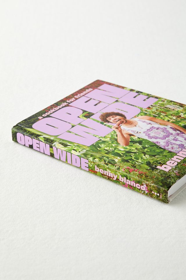 Open Wide: A Cookbook For Friends By Benny Blanco & Jess Damuck | Urban ...