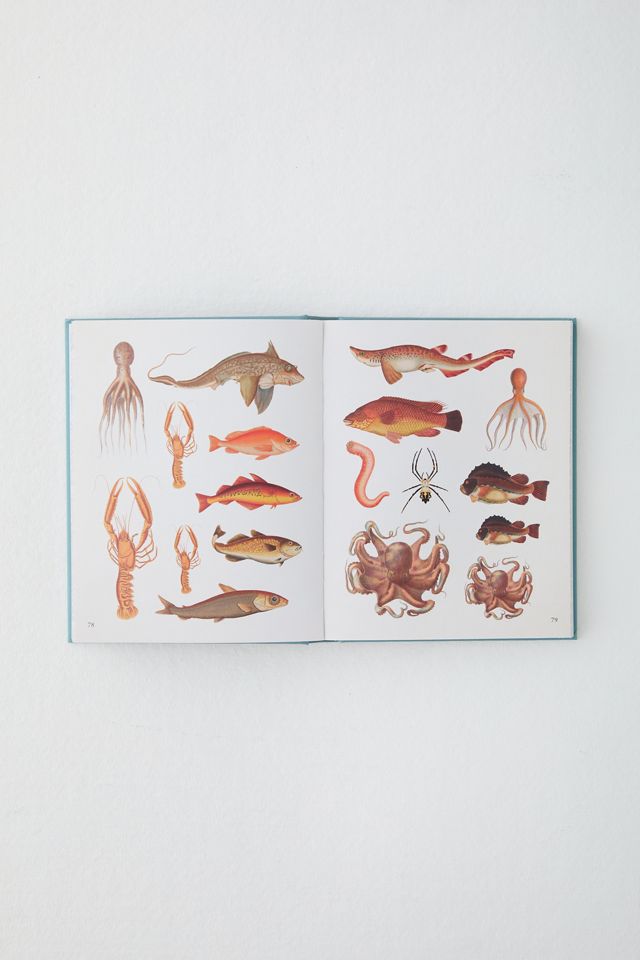 The Seashore Sticker Anthology: With More Than 1,000 Vintage Stickers ...