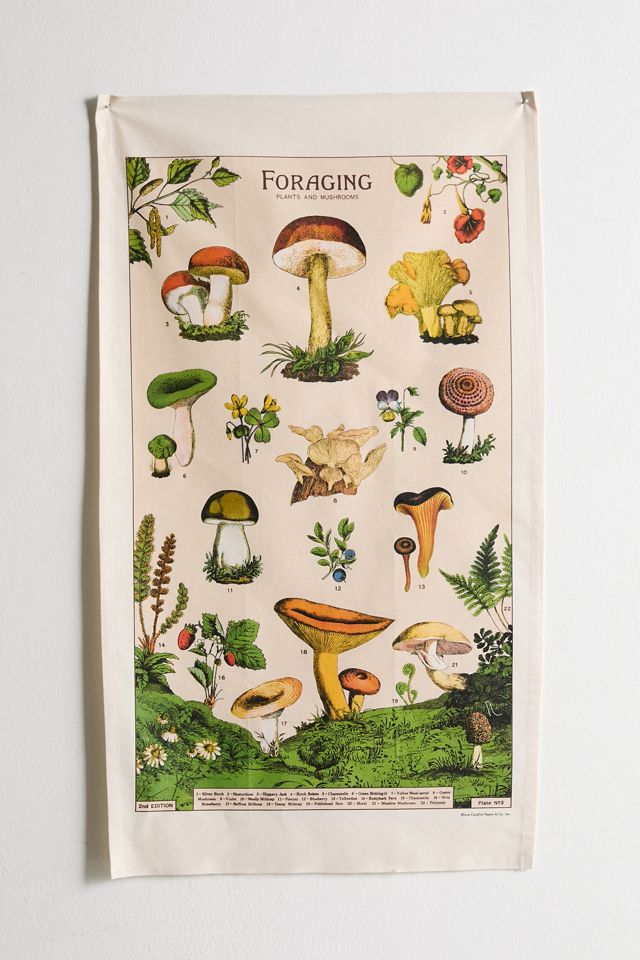 Cavallini Papers Plant Specimen Reference Tapestry | Urban Outfitters