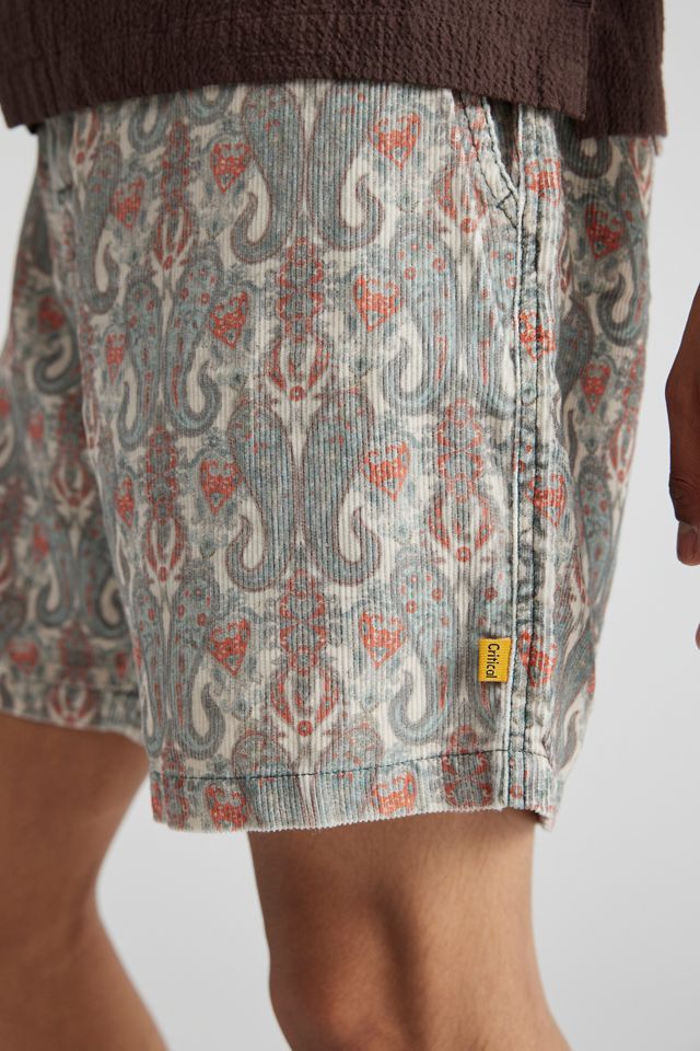 The Critical Slide Society Brother Printed Cord Short | Urban ...