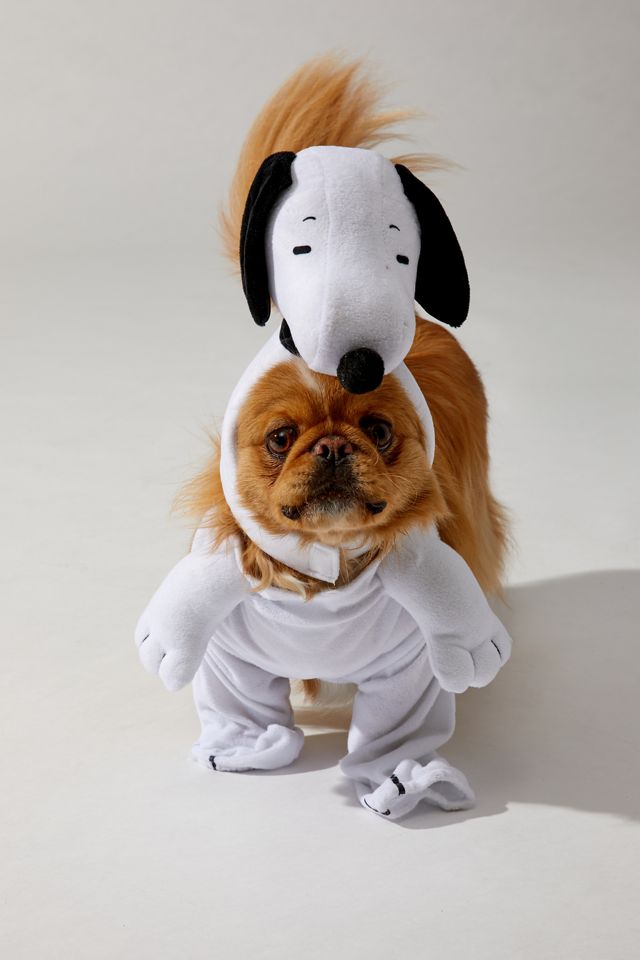 Peanuts Snoopy Walking Pet Costume | Urban Outfitters
