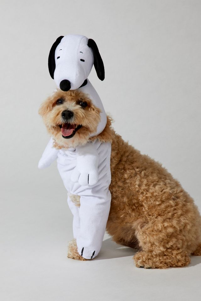 Peanuts Snoopy Walking Pet Costume | Urban Outfitters