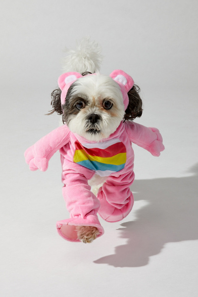 Care Bears Cheer Walking Pet Costume | Urban Outfitters
