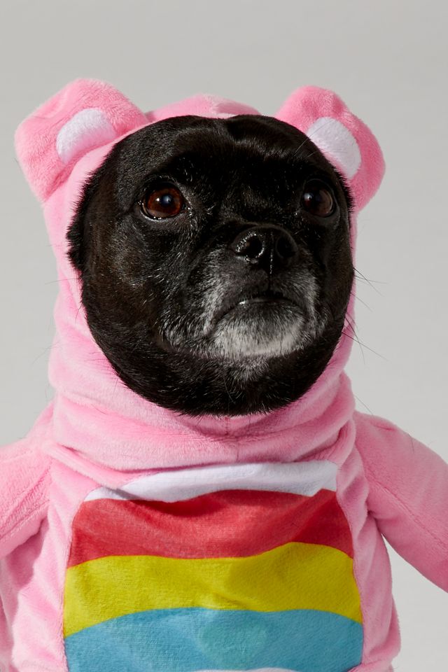Care Bears Cheer Walking Pet Costume | Urban Outfitters