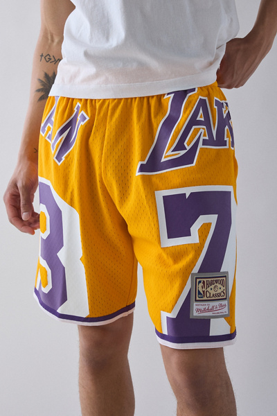 Mitchell & Ness NBA Los Angeles Lakers Dennis Rodman Maxxed Basketball ...