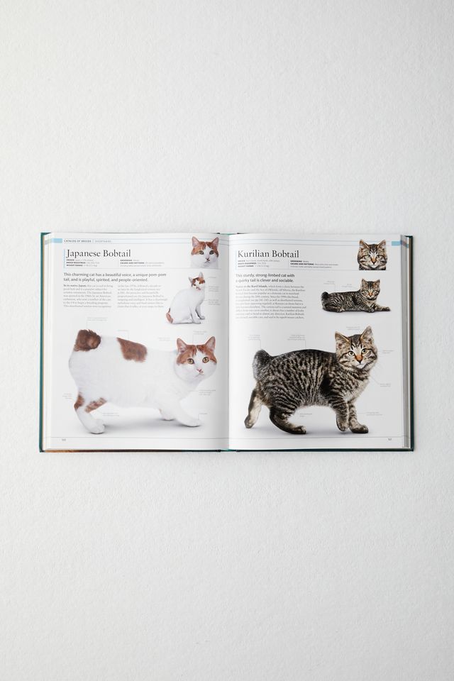 The Cat Encyclopedia By DK | Urban Outfitters
