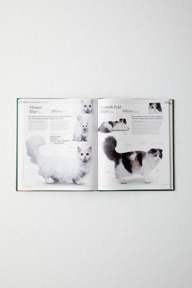 The Cat Encyclopedia By DK | Urban Outfitters