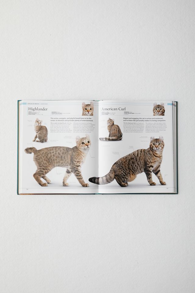 The Cat Encyclopedia By DK | Urban Outfitters