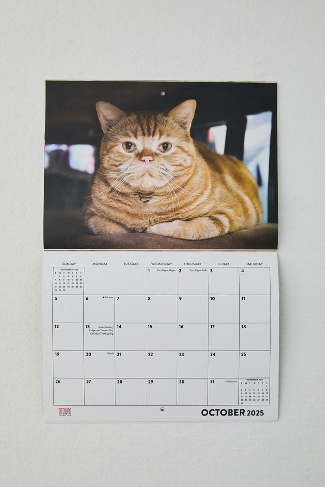Fat Cats 2025 Wall Calendar | Urban Outfitters