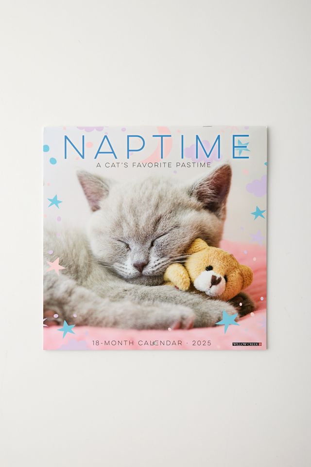 Naptime Cats 2025 Wall Calendar | Urban Outfitters