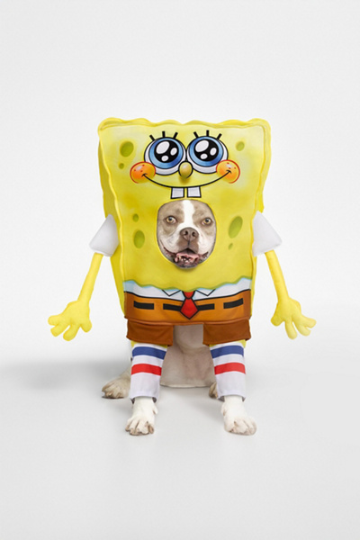 SpongeBob SquarePants Pet Halloween Costume | Urban Outfitters
