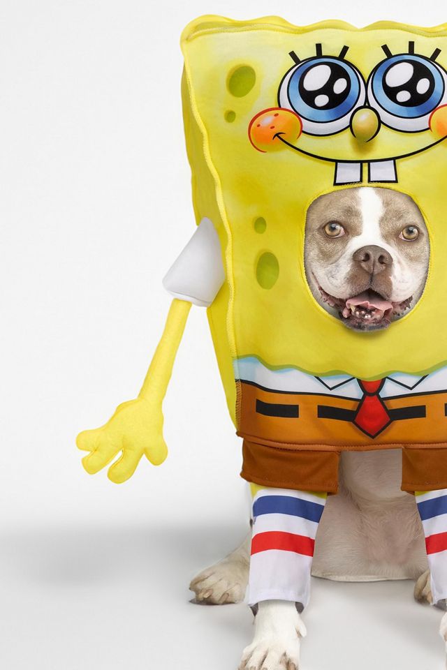 SpongeBob SquarePants Pet Halloween Costume | Urban Outfitters