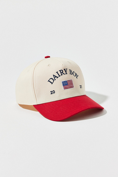 Dairy Boy | Urban Outfitters