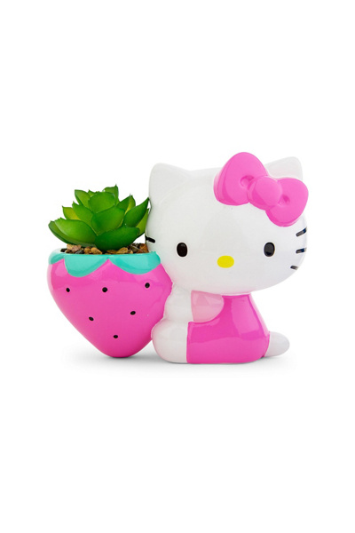 Sanrio Hello Kitty Strawberry Succulent Planter | Urban Outfitters