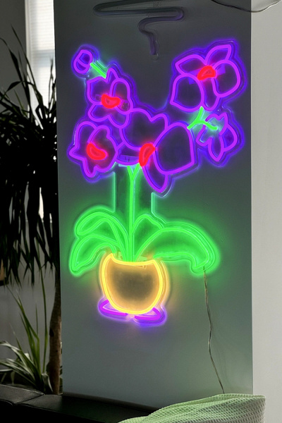 Echo Neon Orchid Neon Sign | Urban Outfitters