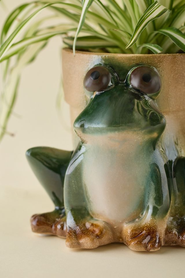 Sculpted Frog Ceramic Planter | Urban Outfitters