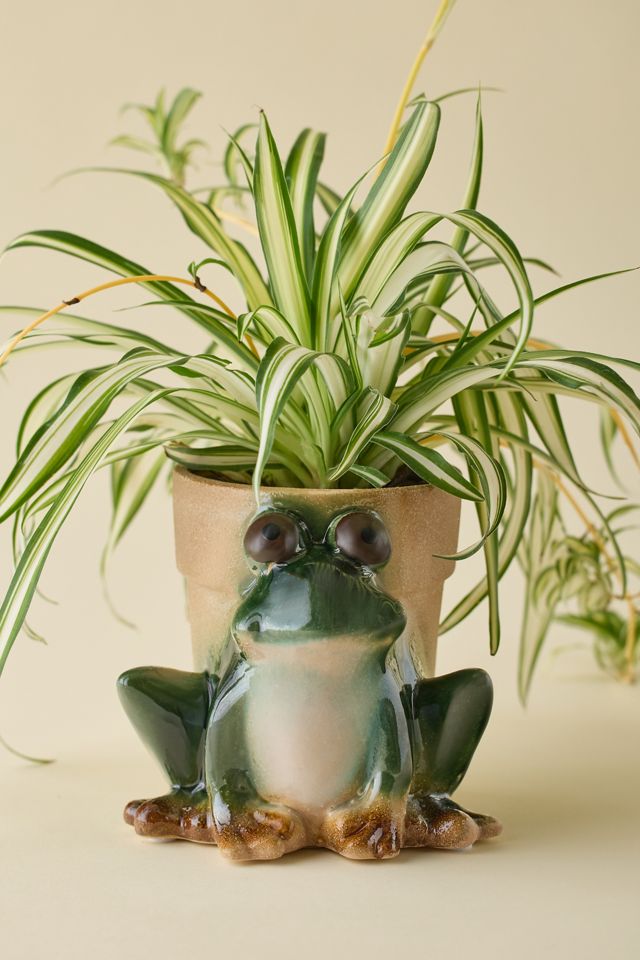 Sculpted Frog Ceramic Planter | Urban Outfitters